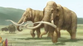 Portal za škole - Osnovnoškolci - Mamuti